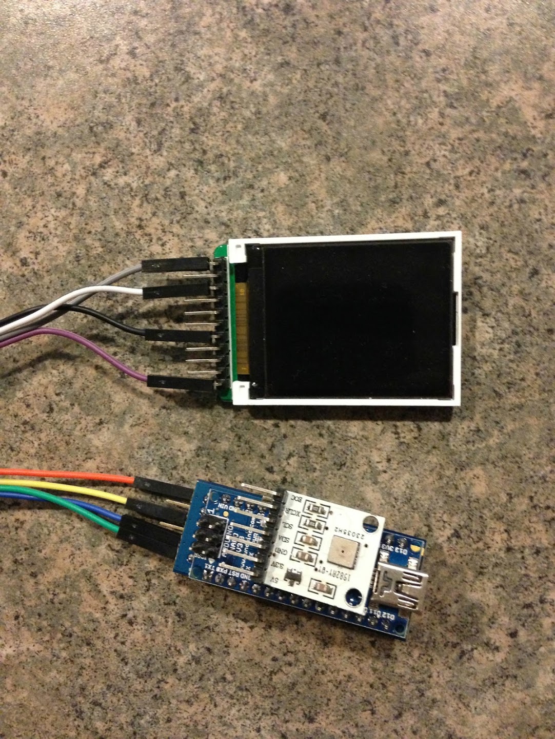 Braden Roseborough | Wingsuit Pilot